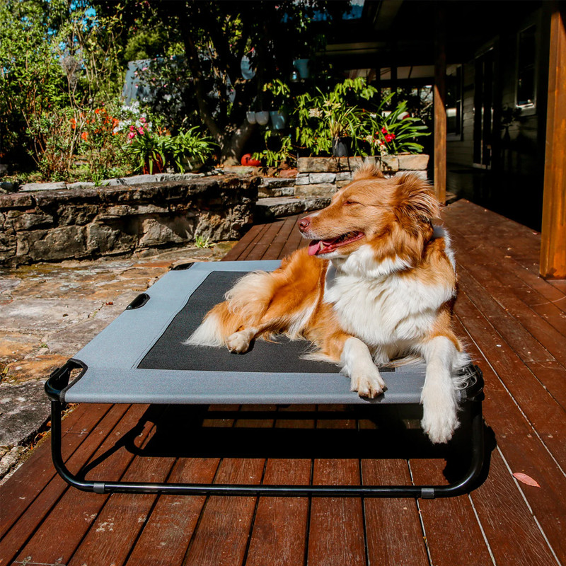 Charlie's Adventure Foldable Travel Trampoline Dog Bed